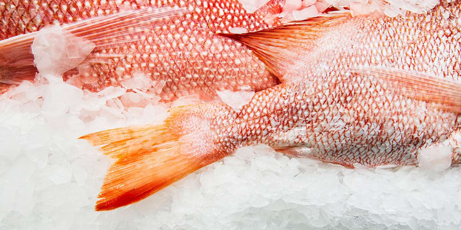 Contact Us for Your Enquiries | Manettas Seafood Market