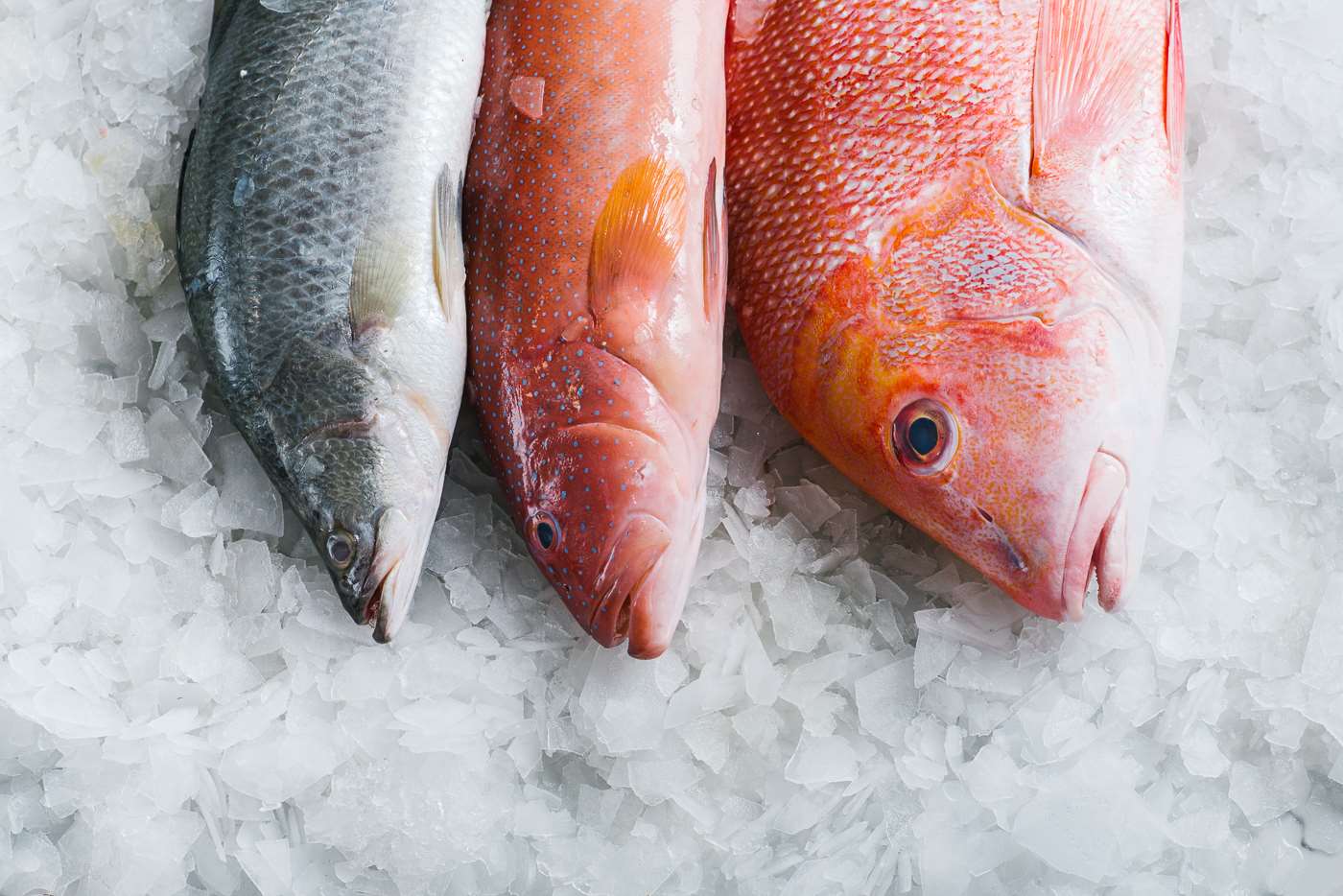 Fresh Seafood Central Coast Manettas Seafood Delivery
