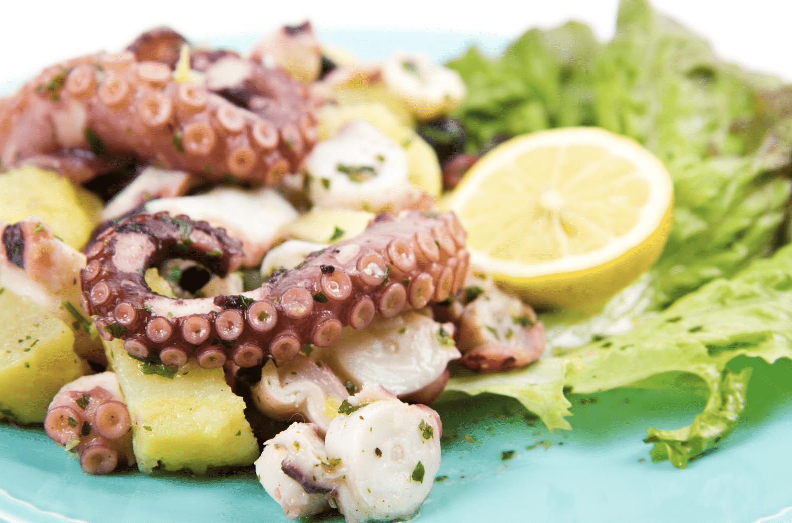 Octopus Legs with Potato Salad - Manettas Seafood Market